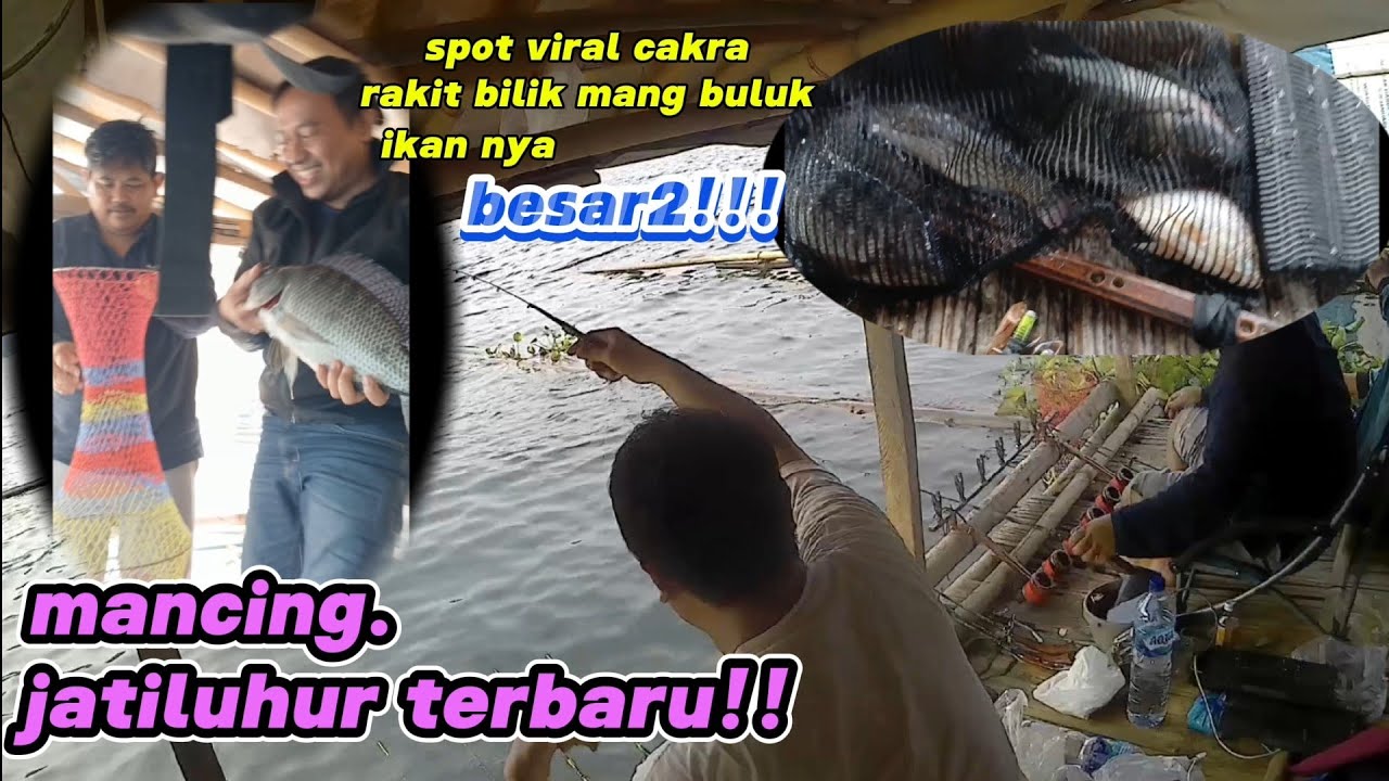 spot viral cakra rakit bilik mang buluk//mancing jatiluhur terbaru ...