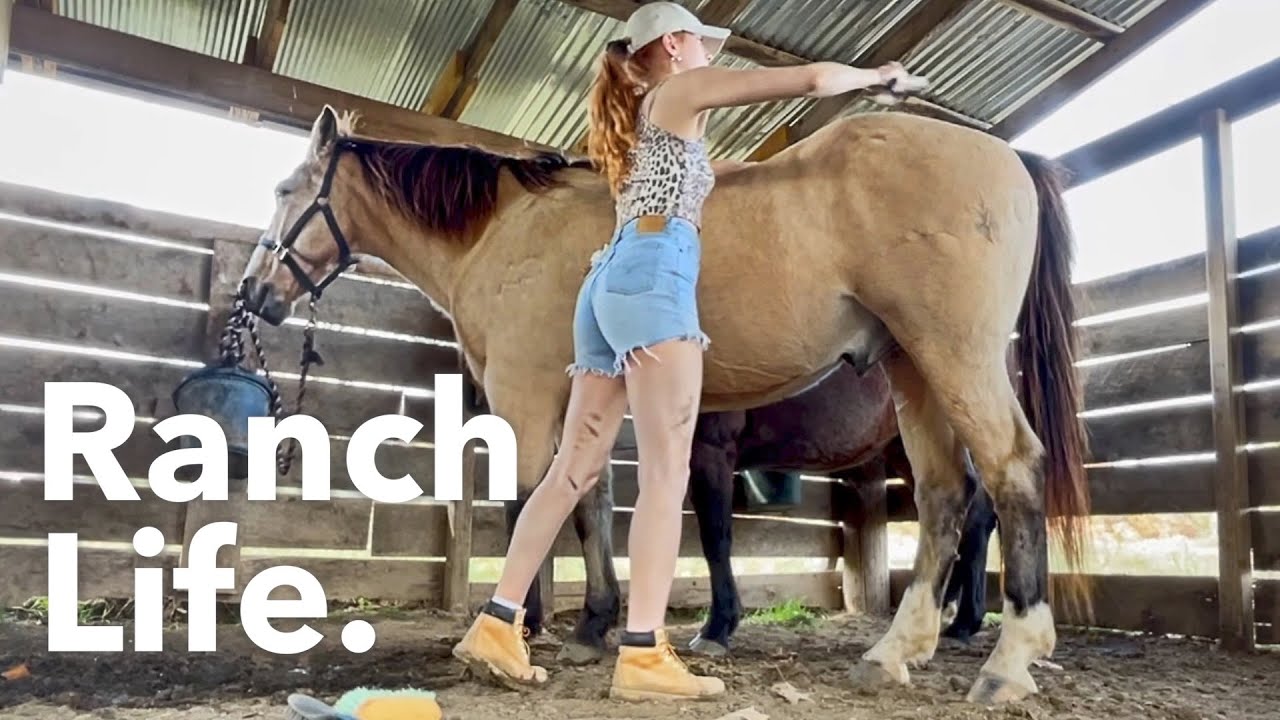 A British girl tries Ranch Life in Tennessee. - YouTube