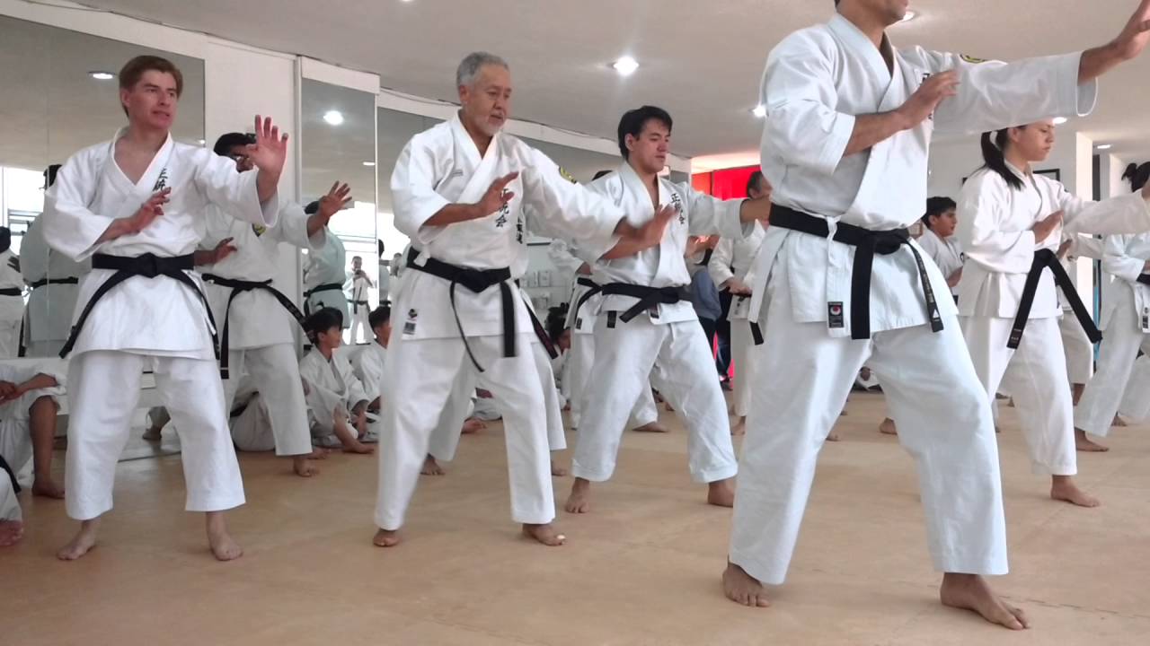 kata Annan Seminario Uechi Ryu con Hanshi Heianna Kosuke - YouTube