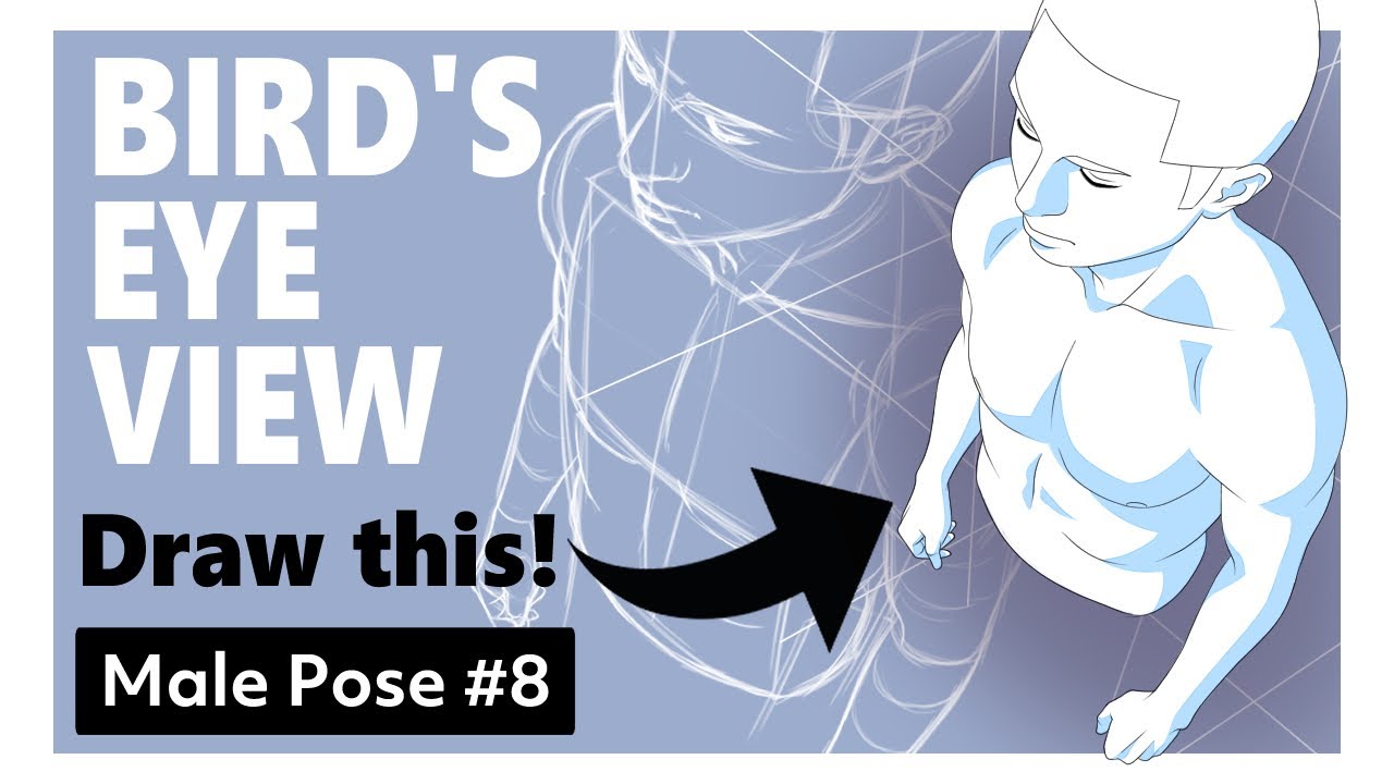 Drawing Upper Body Anatomy from a Bird's Eye View! - YouTube