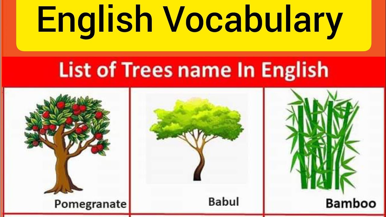 Types Of Trees 🌴 ( English Vocabulary) | Subscribe for More Videos # ...