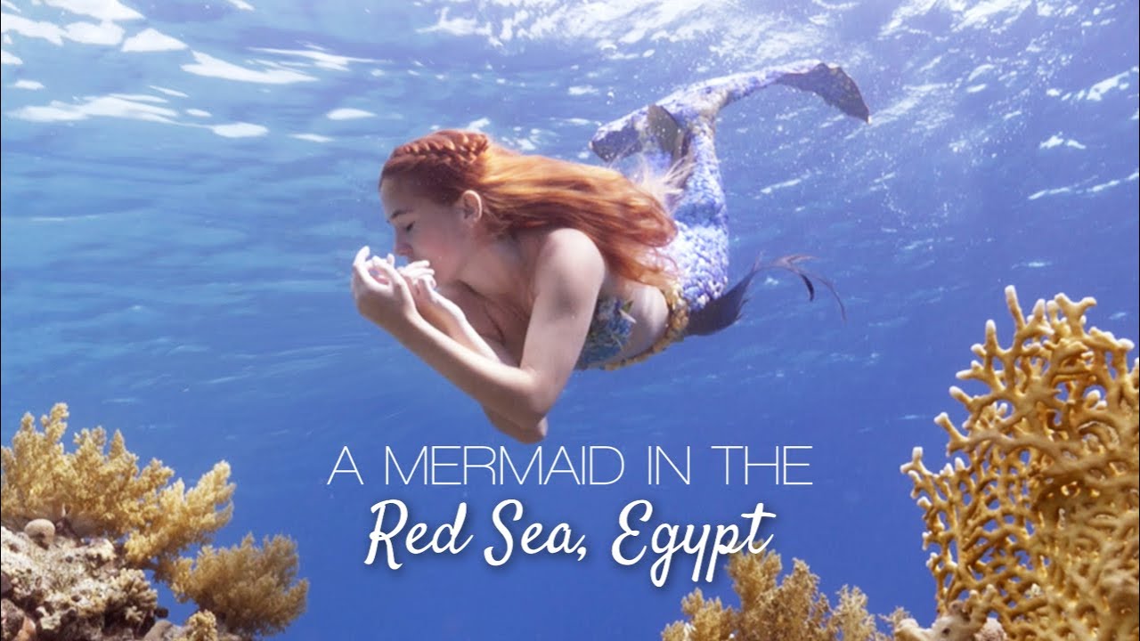 Lexie Mermaid - Mermaid spotted in the Red Sea, Egypt | Une sirène dans ...