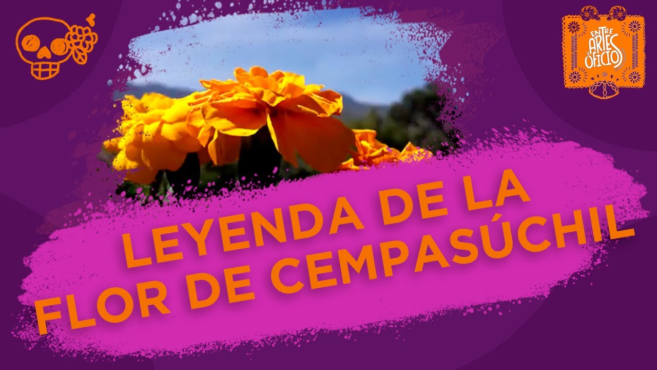 Leyenda de la Flor de cempasuchil - YouTube
