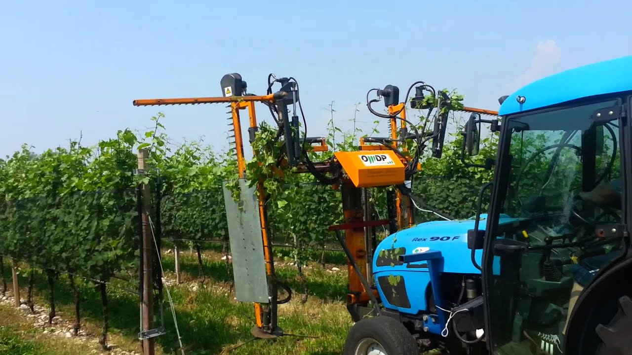 Cimatrice a sequals - YouTube