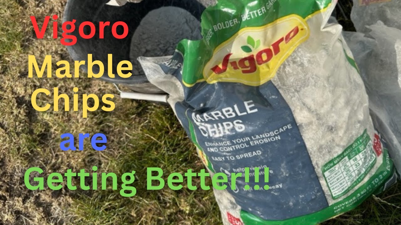 Vigoro Marble Chips are Getting Better!!! (A Hidden Gem S4, E5) Back ...