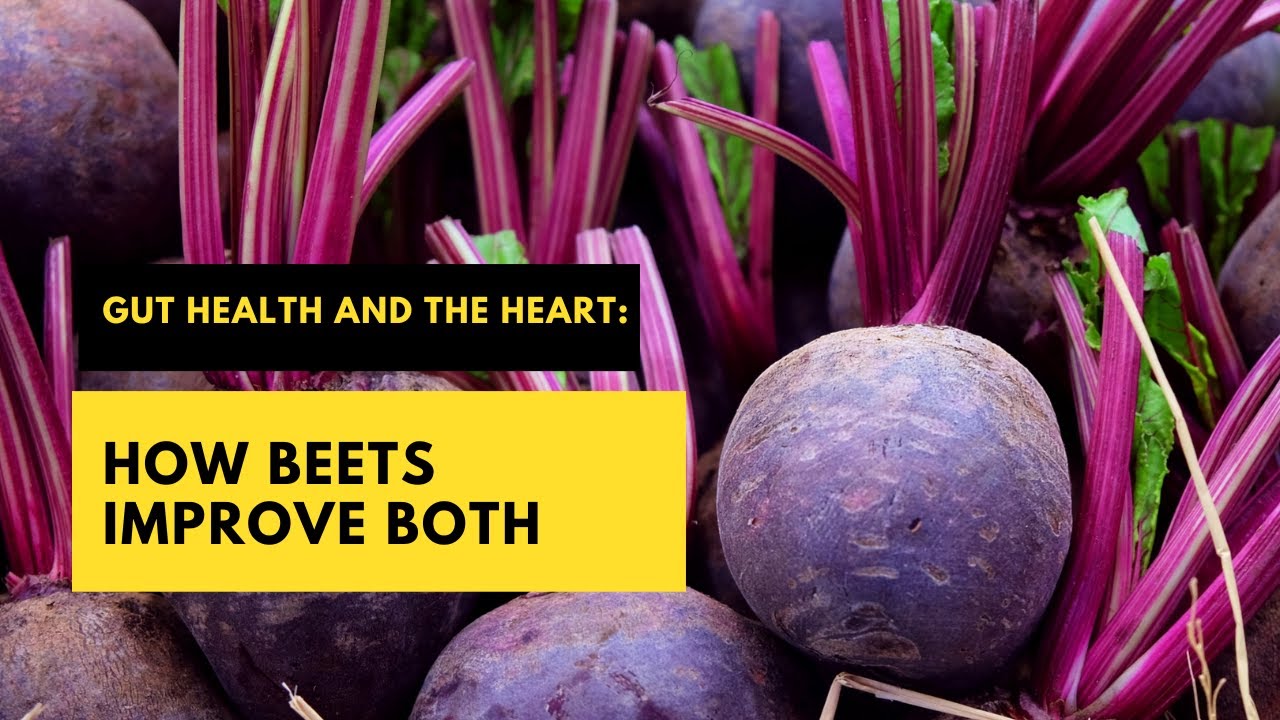 Gut health and the heart: How beets improve both #healthbenefits # ...