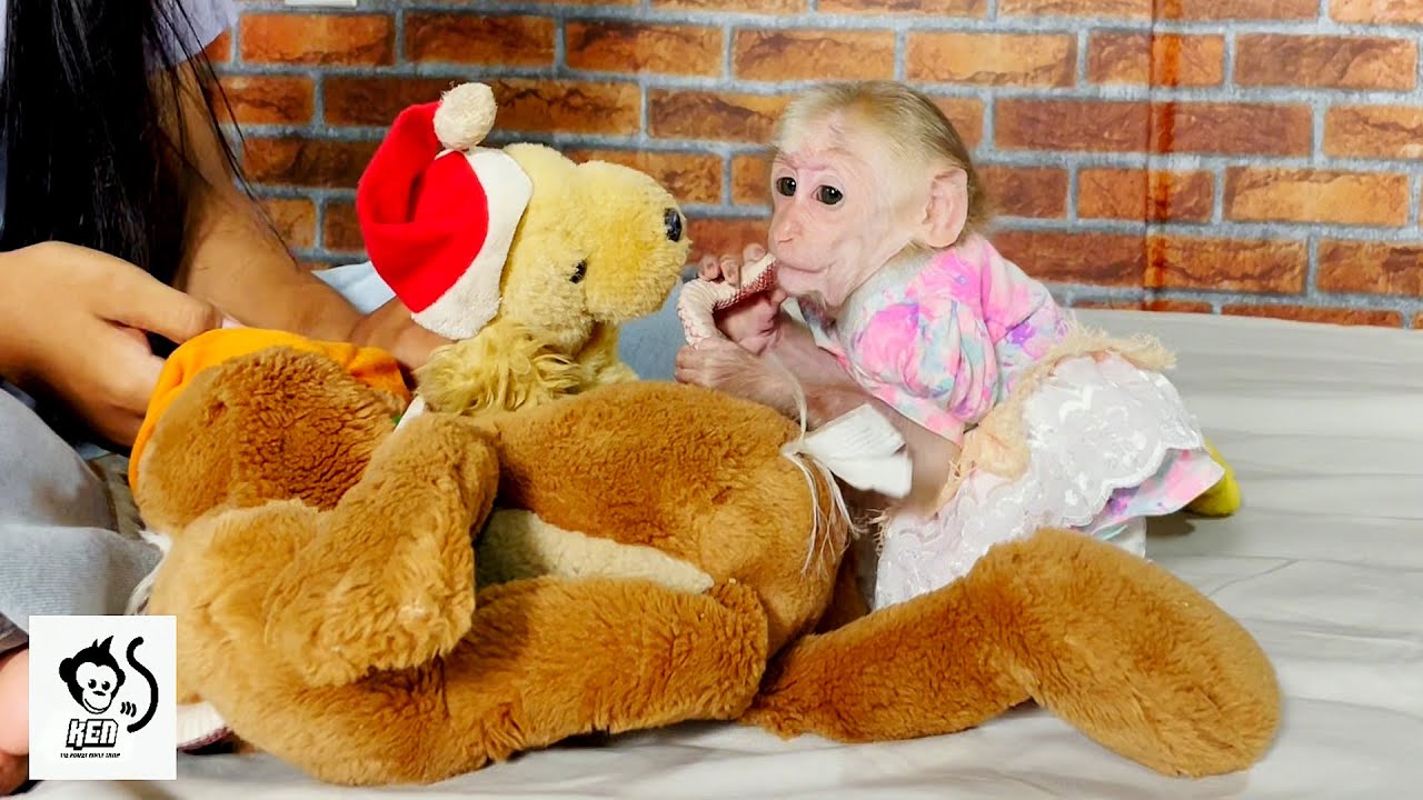 LOvely Sweet Reaction Ken Gives Dog Doll a Sweet Kizz - YouTube