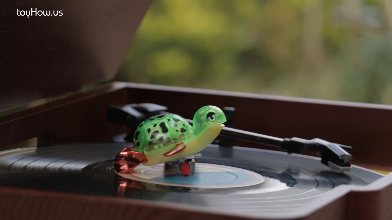 Turtle Wind Up Toy - YouTube