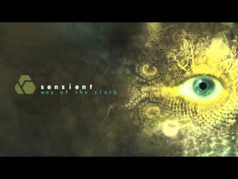 Sensient - Galaxians