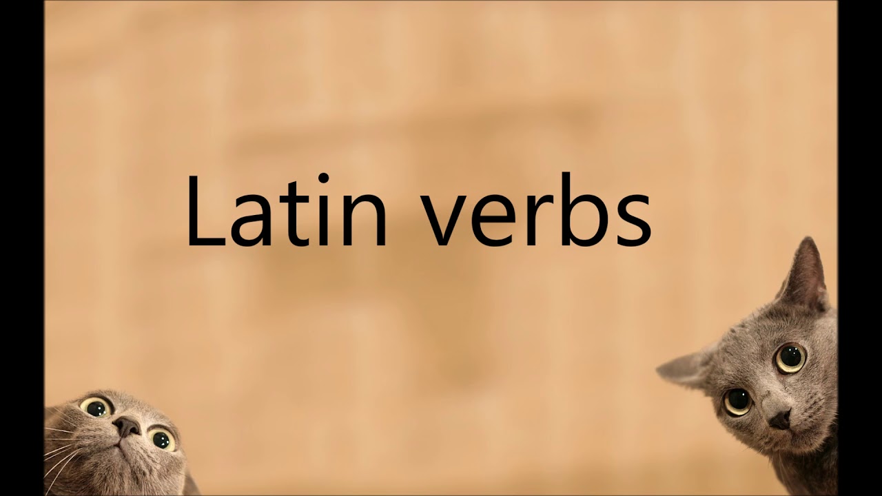 CC week 5, Cycle 3, Latin verbs - YouTube