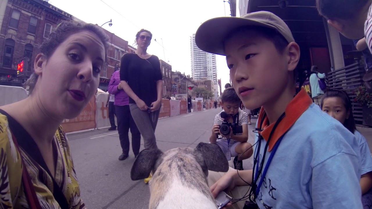 A Dog's Guide to TIFF - YouTube