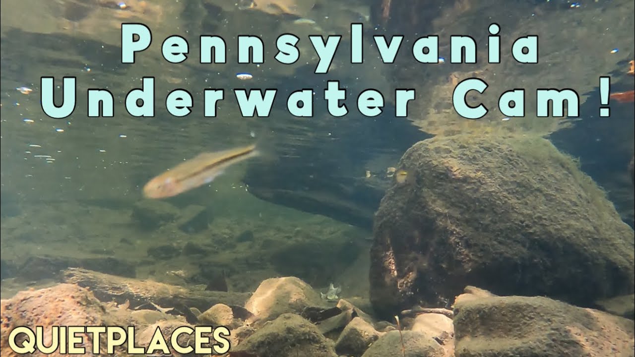 Pennsylvania Underwater Creek Cam! - YouTube