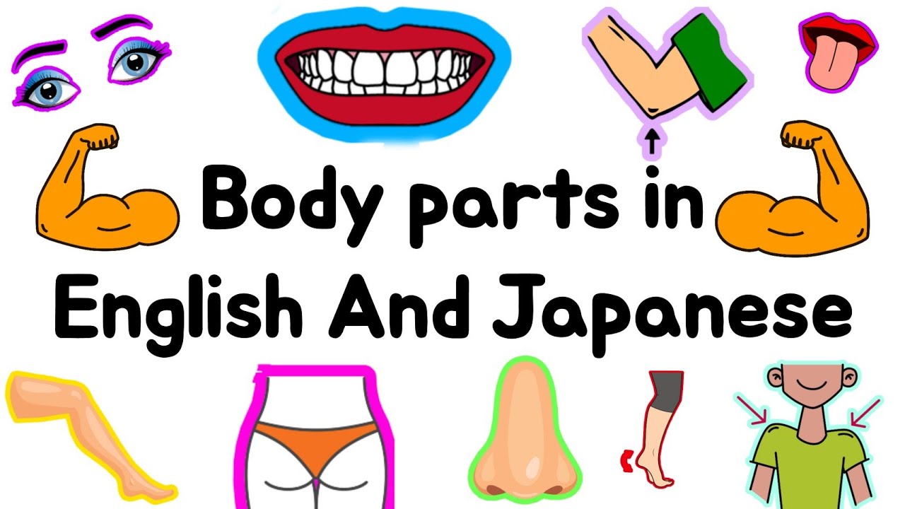 Body parts Name in Japanese and English ||learn Japanese for beginners ...