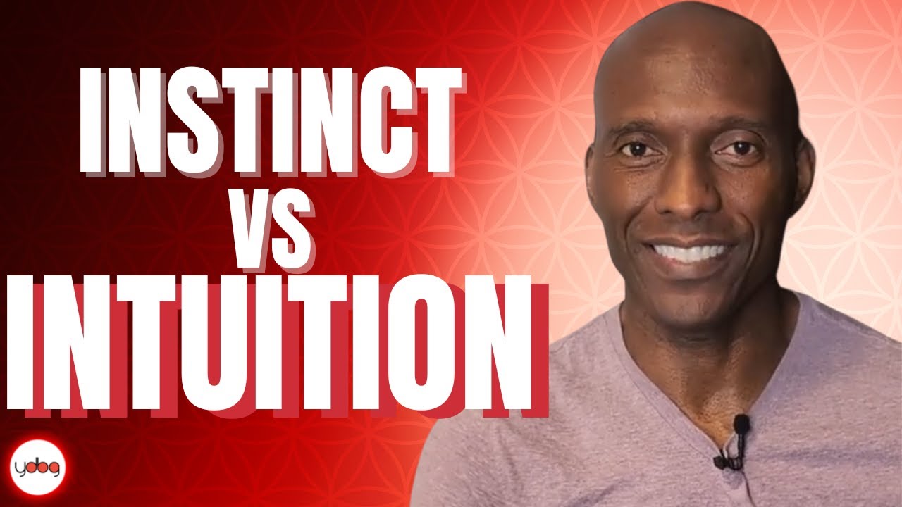 Instinct vs. Intuition: Master the Difference for True Independence ...