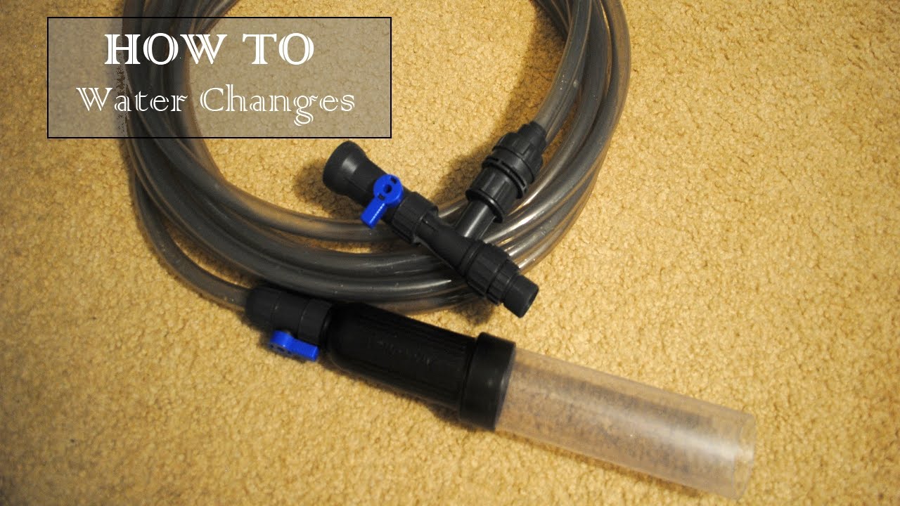 How To do Water Changes for Goldfish Aquarium - Aqueon Aquarium Water Changer - YouTube