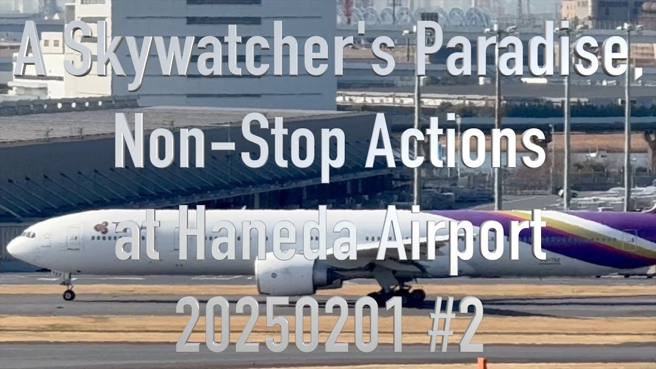A Skywatcher's Paradise, Non-Stop Actions at Haneda Airport 20250201 #2 ...