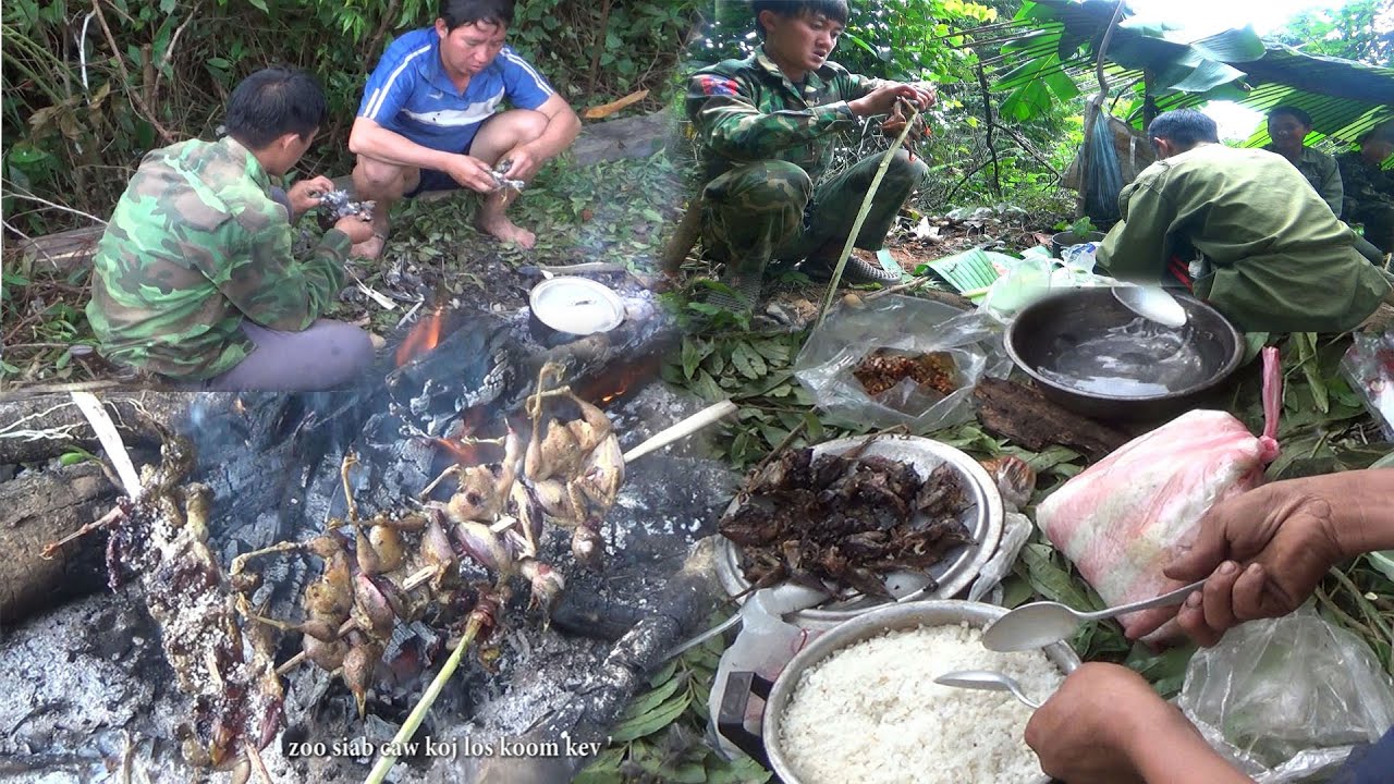 Hunting and Cooking Birds In The Jungle | Yos hav zoov tua noog ci noj ...