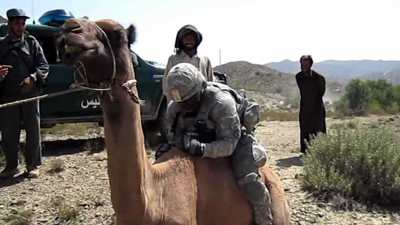 FUNNY: US Soldier falls off camel - YouTube
