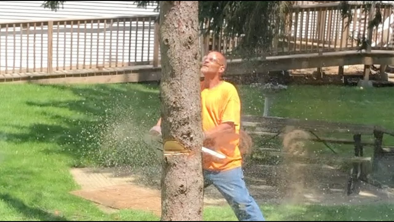 How to Chop Down a 100ft Tree with a Chain Saw!! - YouTube