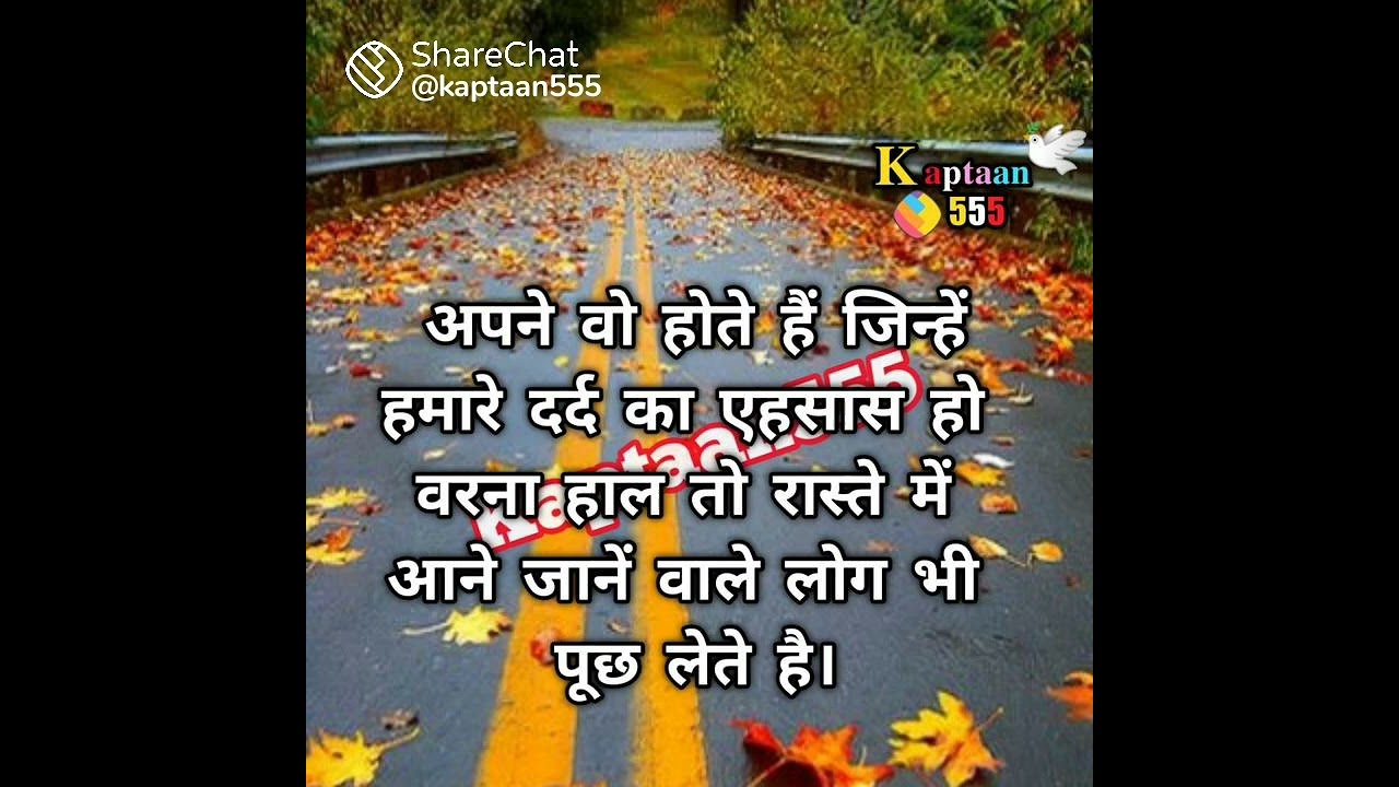 New Best Sayari Top Hindi Sayari - YouTube