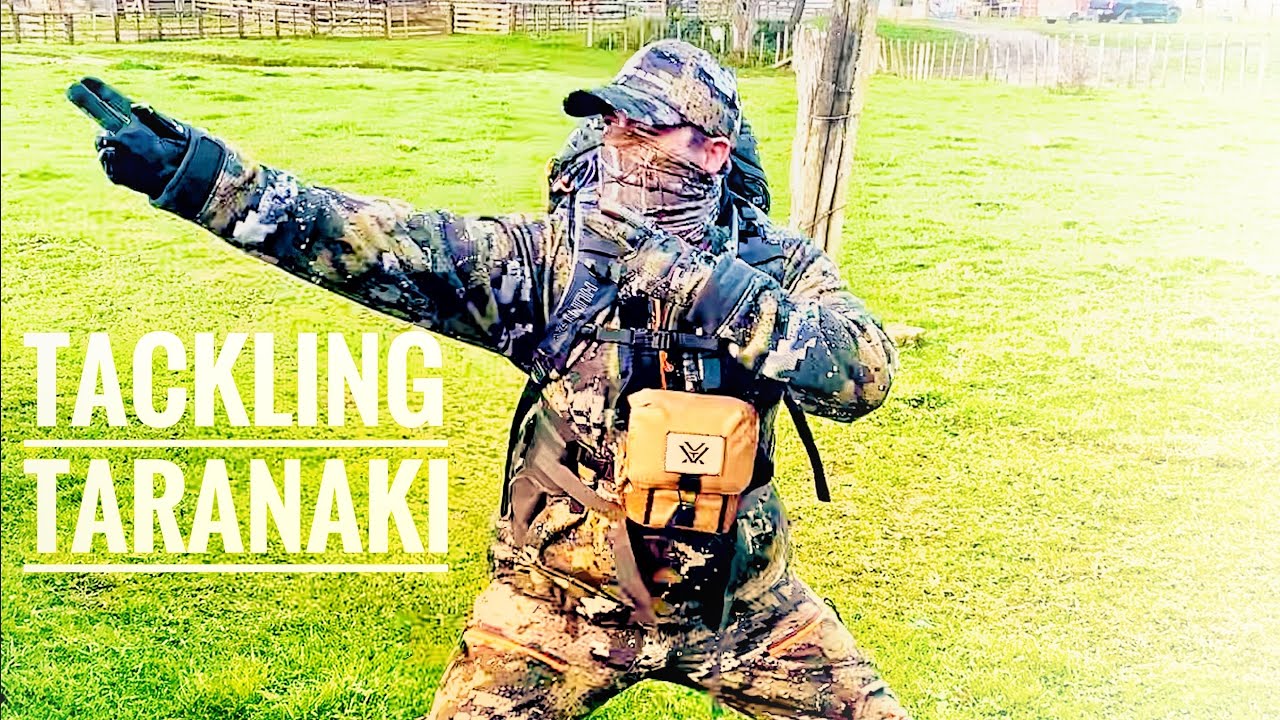 TACKLING TARANAKI - fallow deer hunt - YouTube