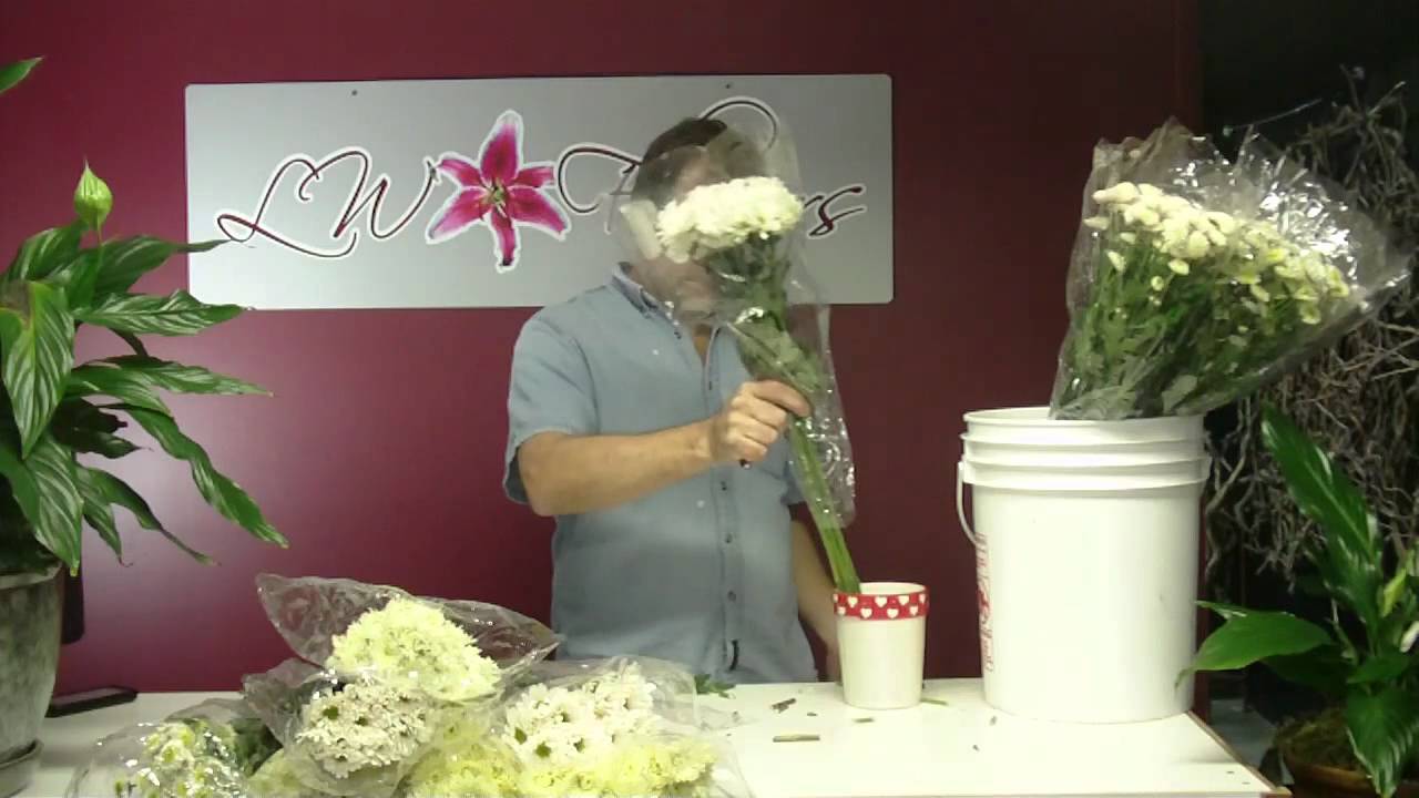 How to Prepare Poms CDN White Asst from Columbia - Lwflowers.com - YouTube