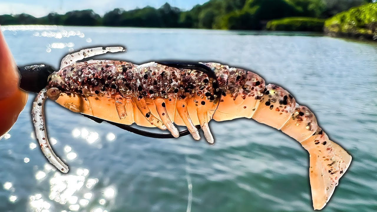 How to Rig and Fish With Ned Shrimp! Crush it Everytime - YouTube