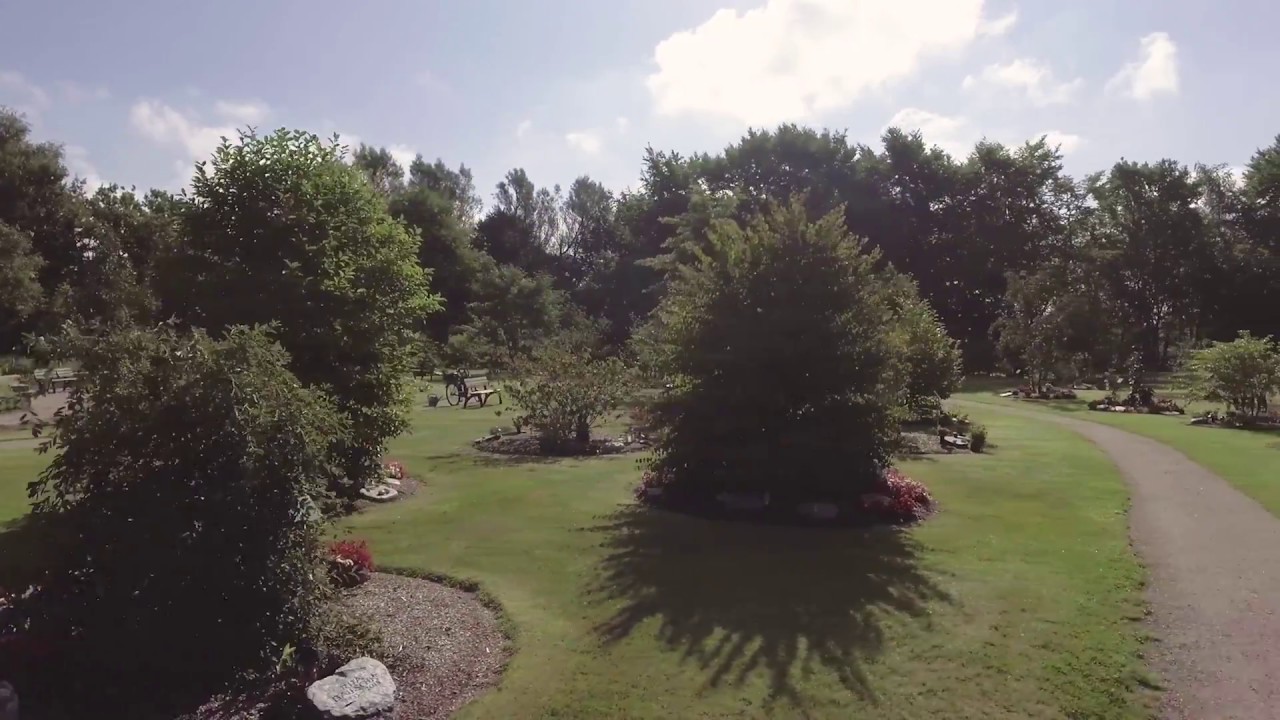 Friedhof Rellingen Baumpark - YouTube