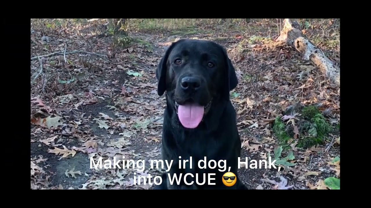 mah dog in WCUE - YouTube