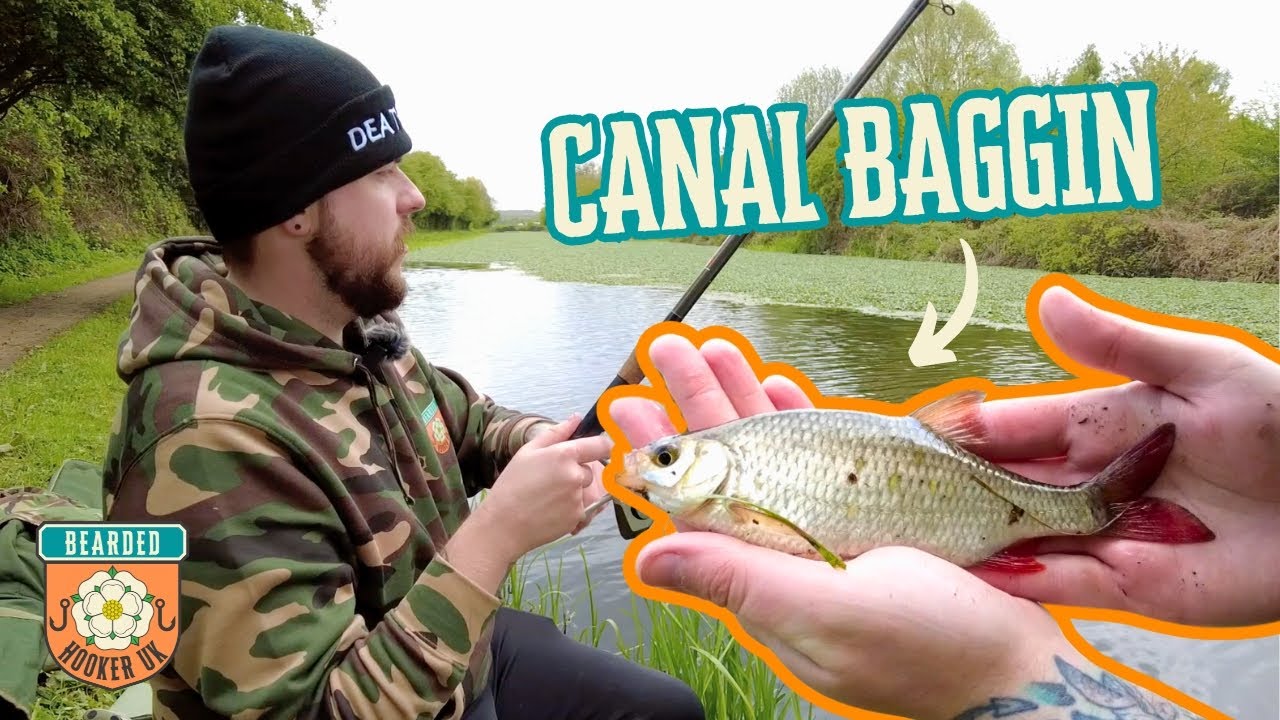 CANAL FLOAT FISHING - Catching Fish on the Aire and Calder Navigation ...