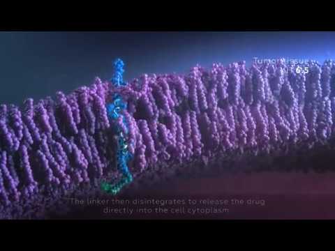 Cybrexa Therapeutics Tumor Specific Drugs Mechanism of Action (MOA ...