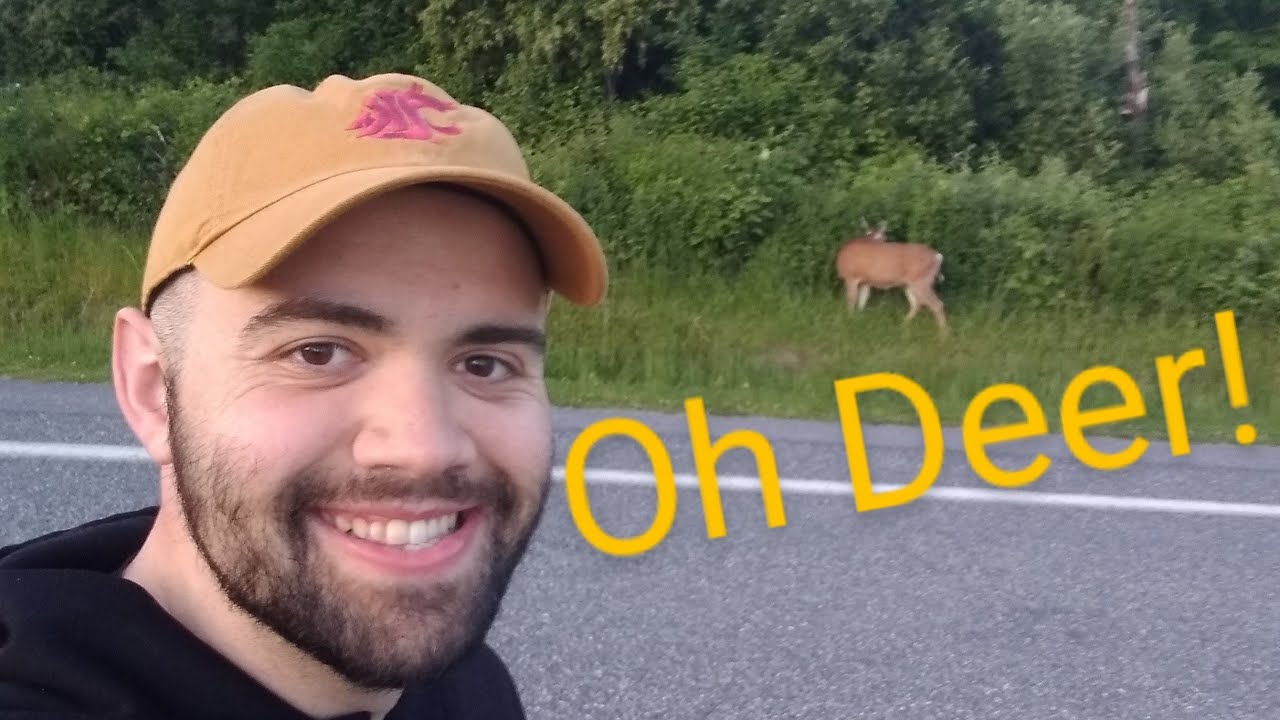 Deer, cell phones and listening to the heart. - YouTube