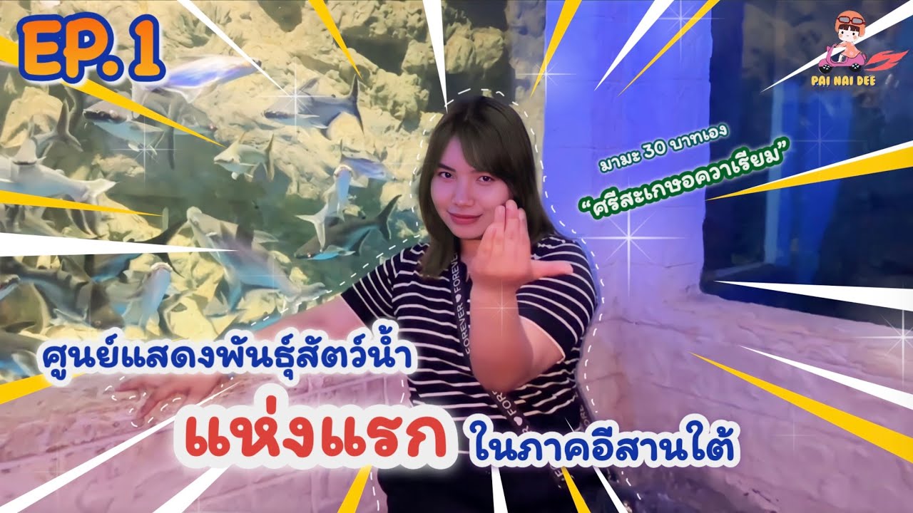 PAI NAI DEE | EP.1 Vlog ไปกับวุ้นเส้นในอีพีแรก🍜 - YouTube