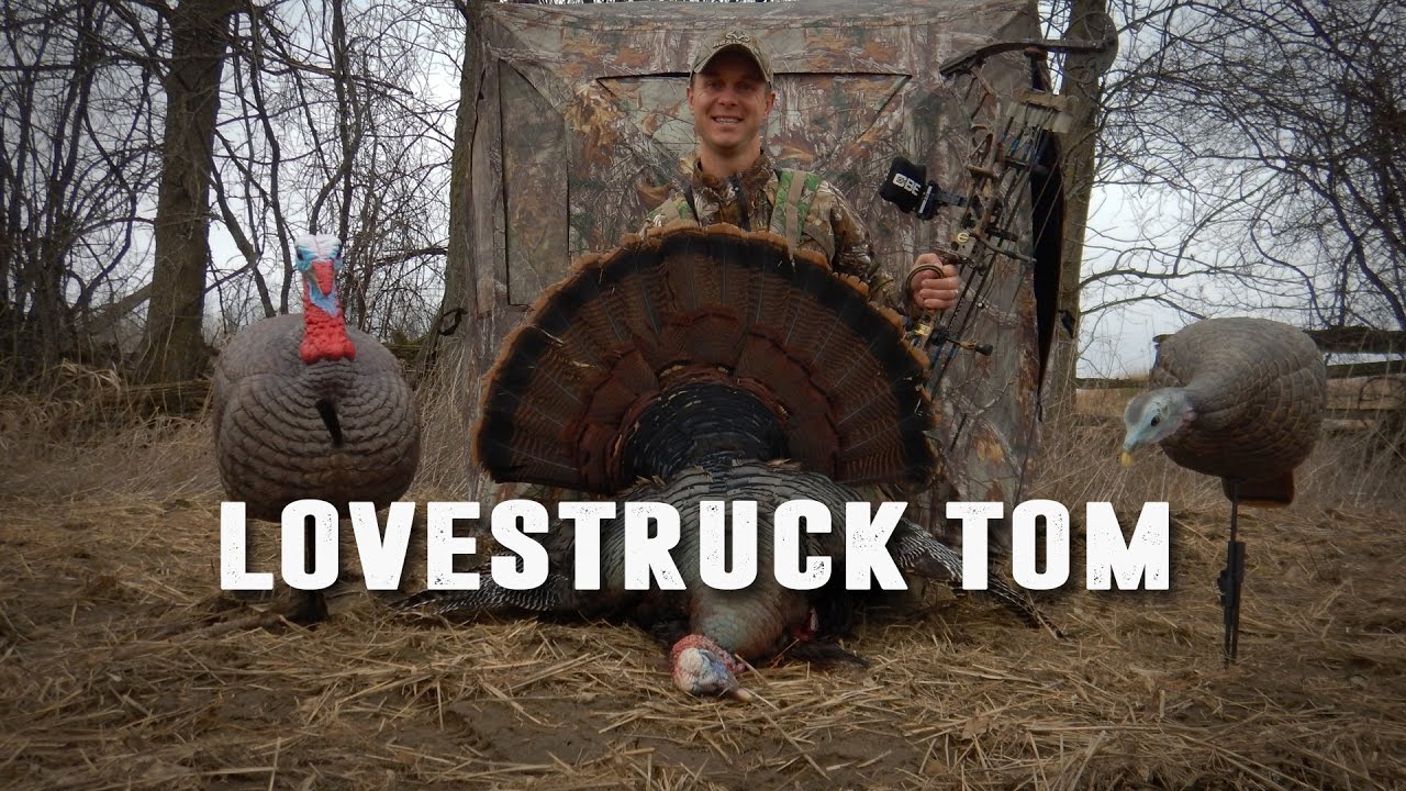 Big Tom Turkey Archery Hunt | Web Exclusive Hunt - YouTube