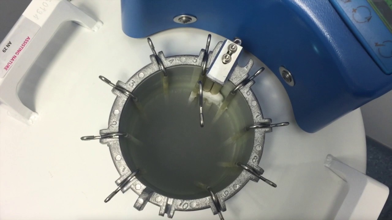 Assisting Nature College of Reproduction - How does vitrification work ...