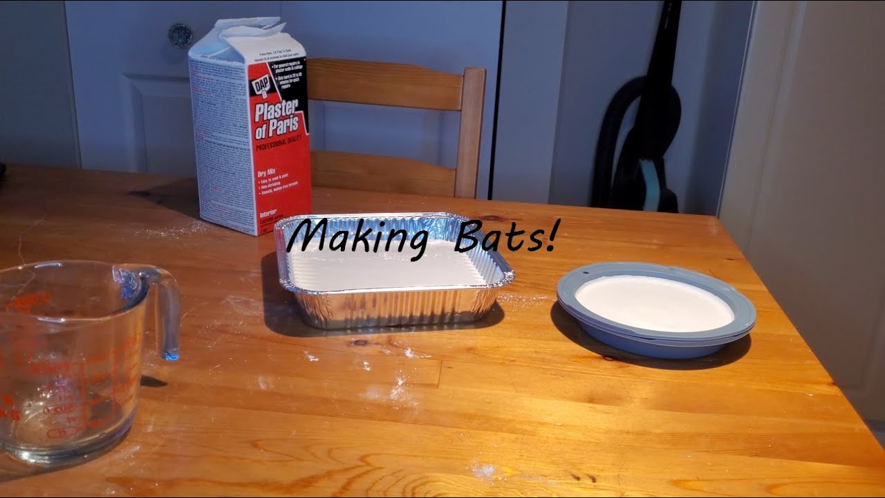 Making Plaster Bats - YouTube