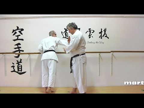morote uke Bunkai Strategies 2021 week 15 koryu karate oyo jutsu - YouTube