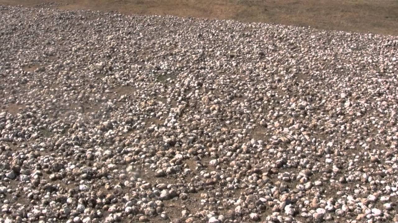 Procesamiento de Chuño | Huancavelica | Peru - YouTube