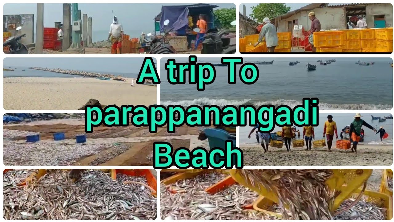 a trip to Parappanangadi beach /ashmil vlog/malayalm - YouTube