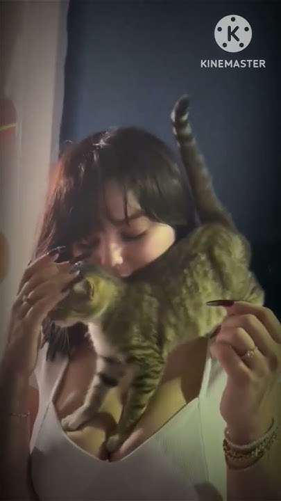 cats like baloon too...#funnyanimals #cute #comedy - YouTube