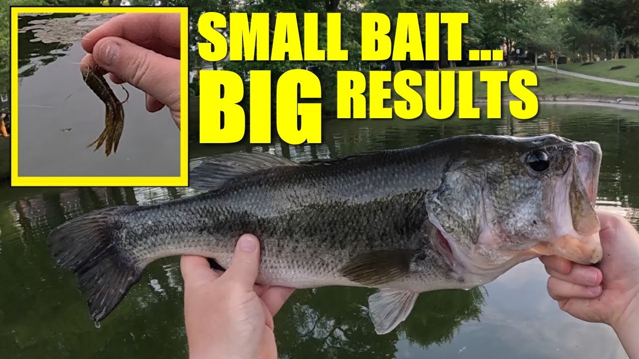 SIZE MATTERS! (Small Size, That Is) - Spin Fishing NJ Park Pond Bass ...