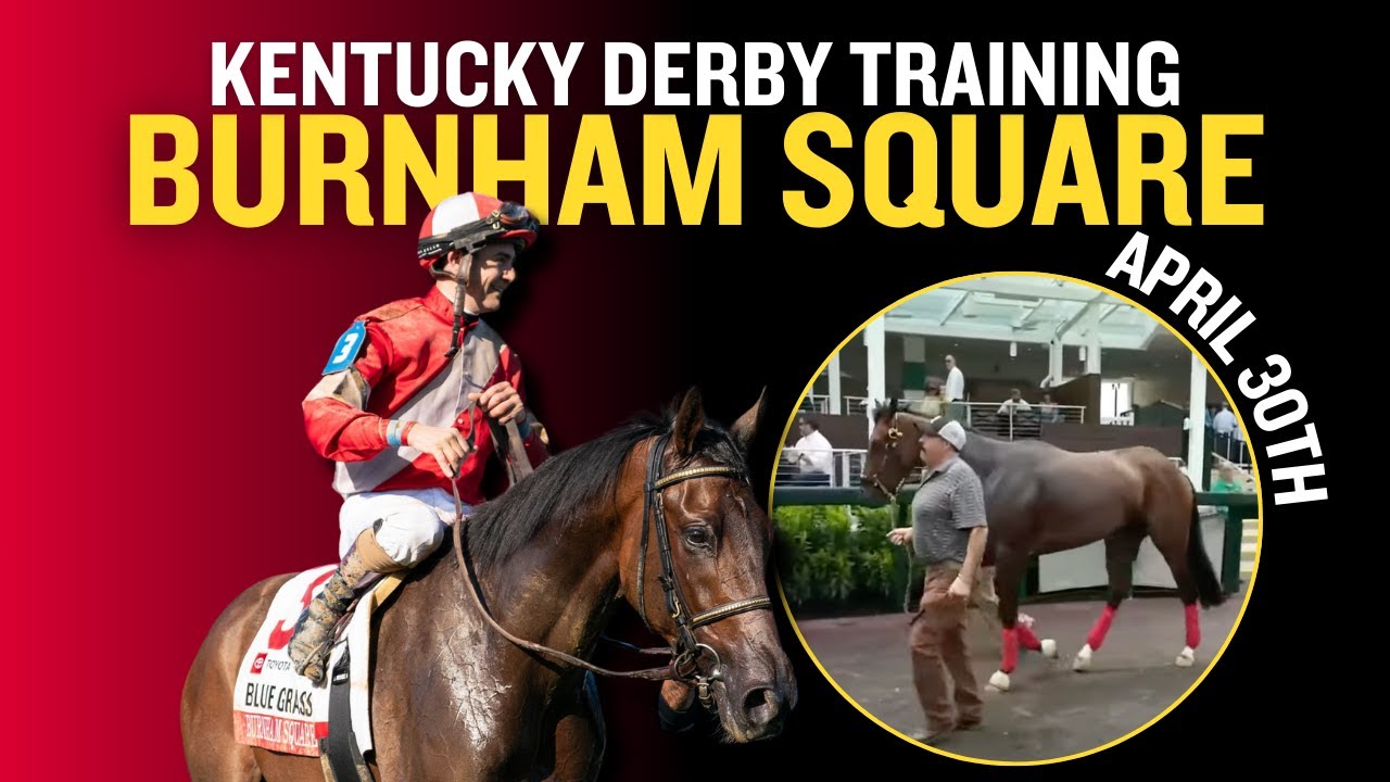 Kentucky Derby Training: BURNHAM SQUARE Paddock Schooling April 30th ...
