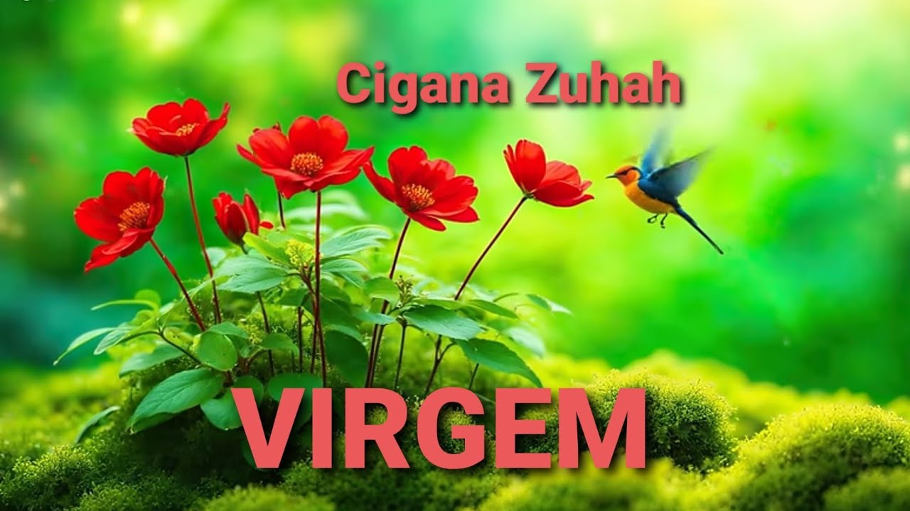 VIRGEM! ♍ ESTOU IMPACTADA COM A SUA LEITURA! PRECISO SABER QUEM É VOCÊ ...