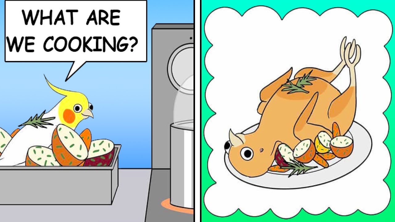 Parrot Problems Comic That Make You Say Hol' Up #3 | Webcomic Dub - YouTube