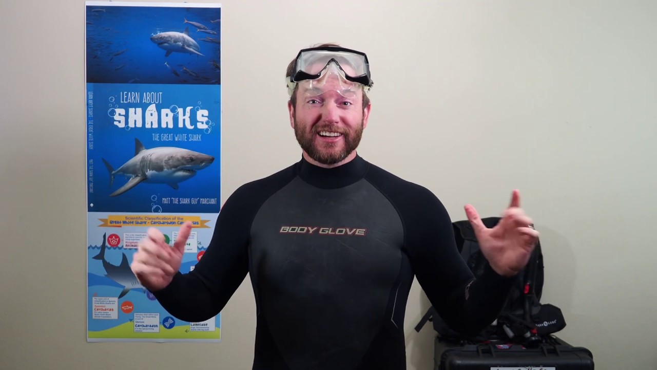 Cage Diving with Matt “The Shark Guy” to see Great White Sharks - YouTube