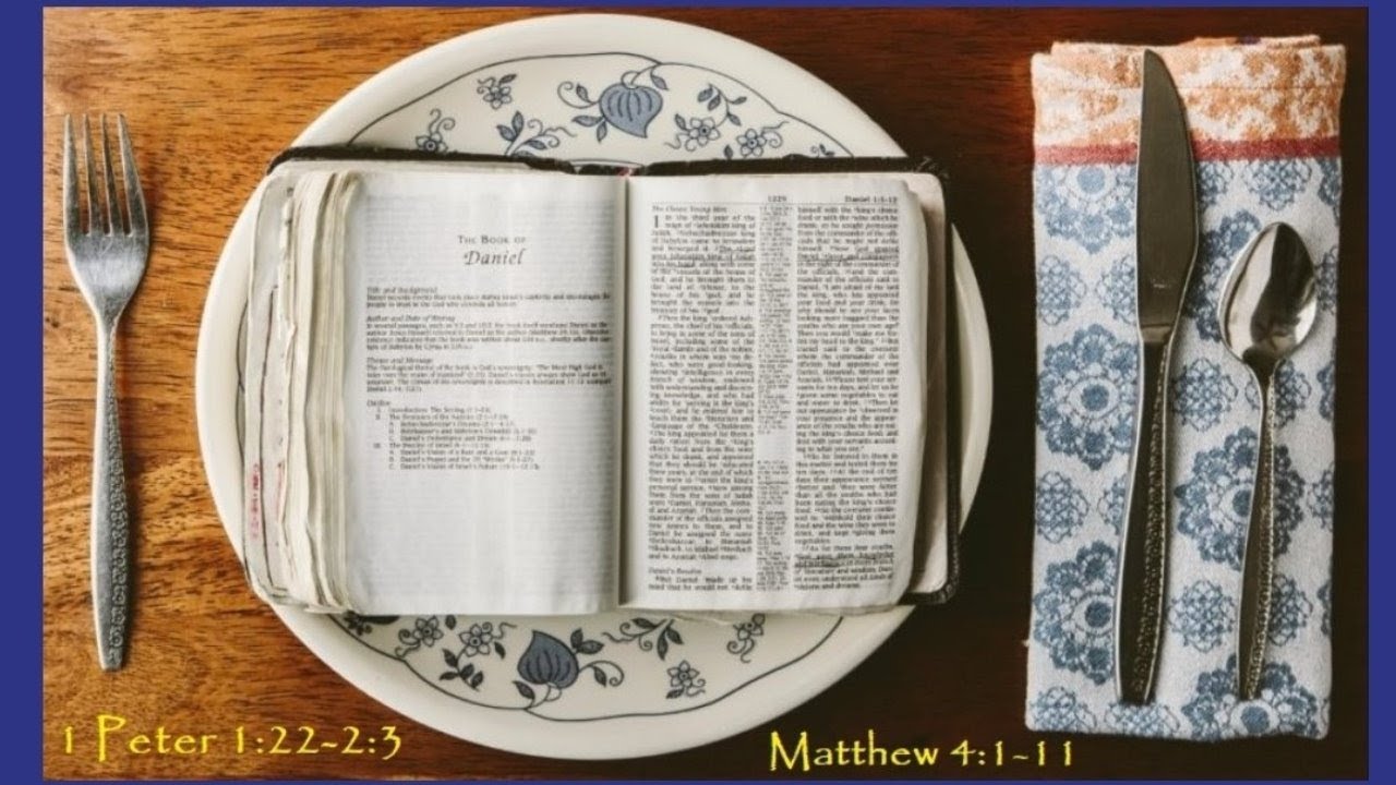 The Bible - Feeding on the WORD - YouTube