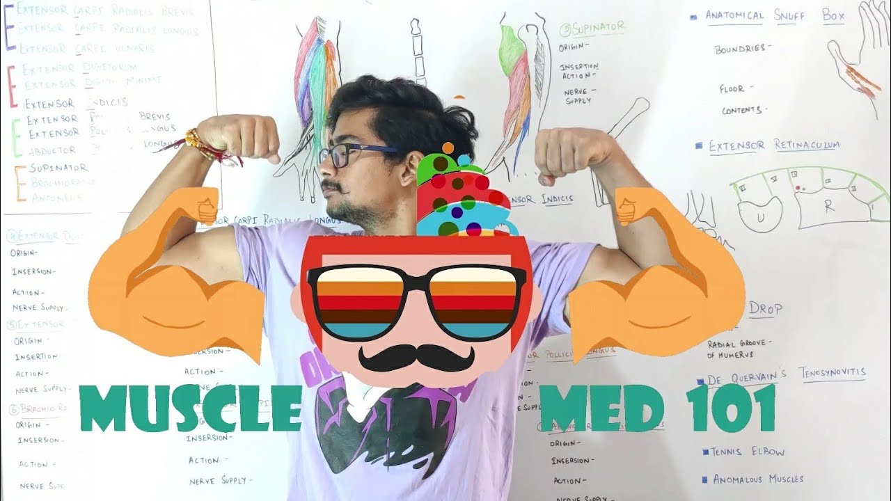 Welcome to Muscle Med 101 !! - YouTube