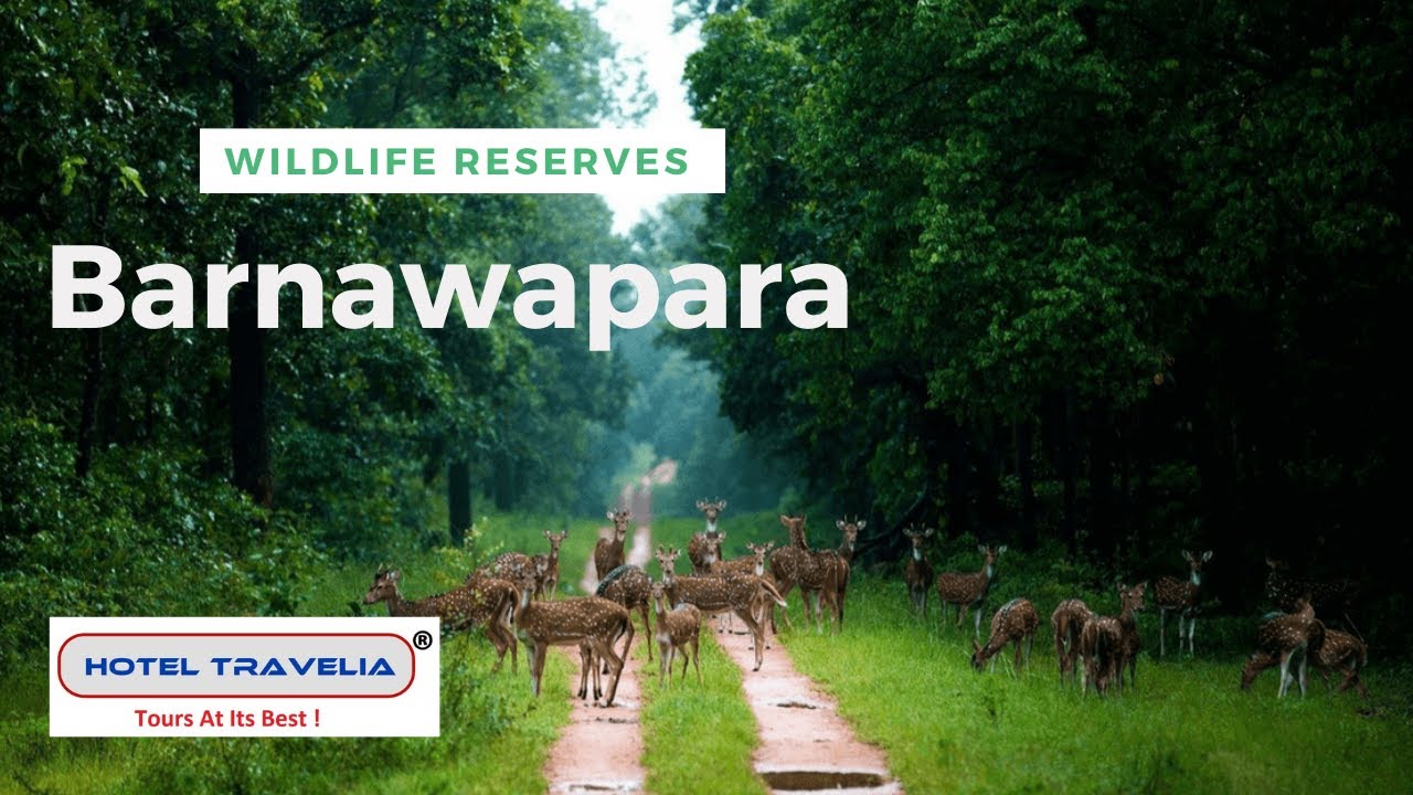 Barnawapara Wildlife Sanctuary | Wildlife & National Parks Of India ...