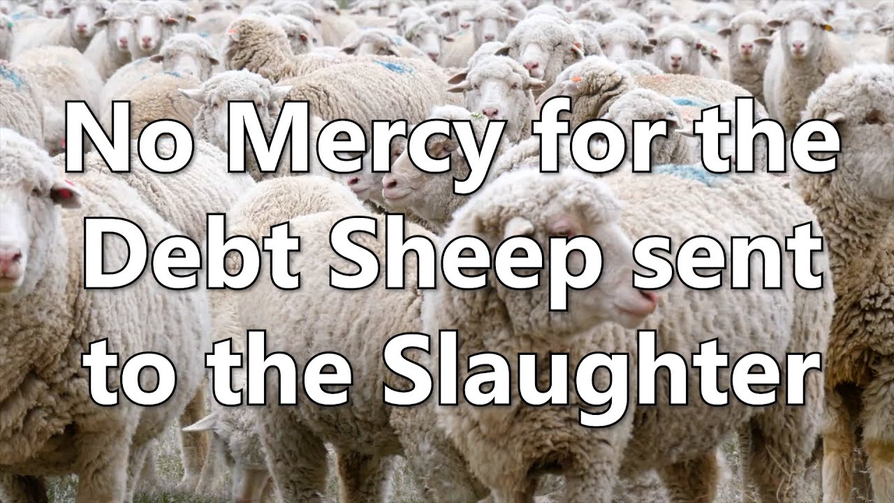No Mercy for the Debt Sheep sent to the Slaughter - YouTube