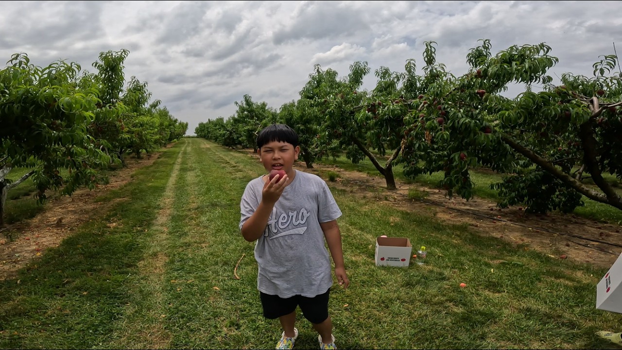 Joe Huber's Family Farm Indiana USA 4K - YouTube